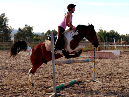 CABALLOS SALTANDO - Imagui
